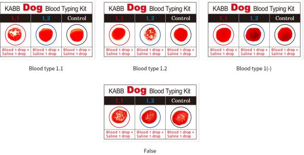 Canine Blood Typing Kit – Sismarket